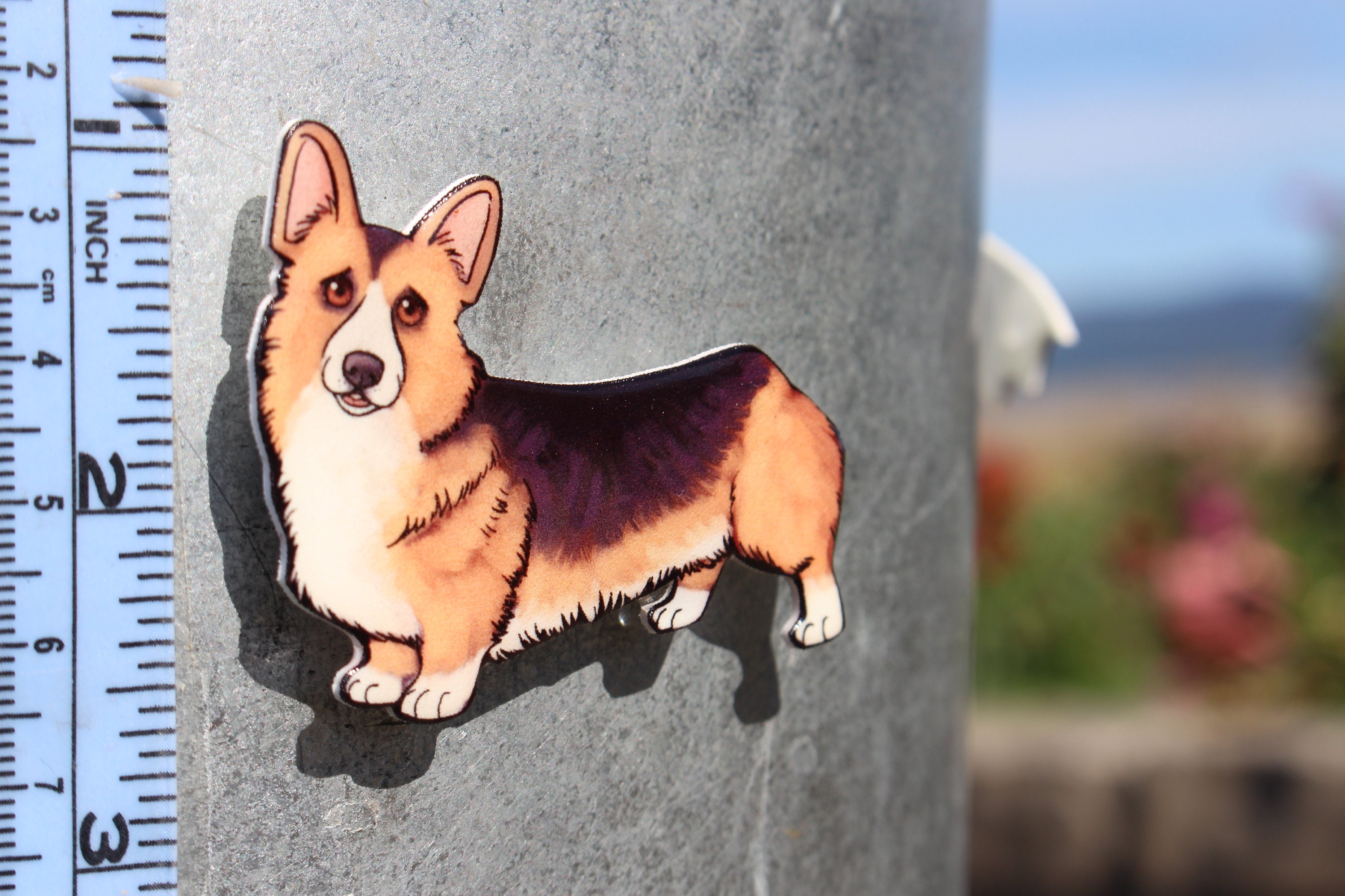 Corgi Magnet: Gift for corgi lovers vet techs veterinarians | Etsy