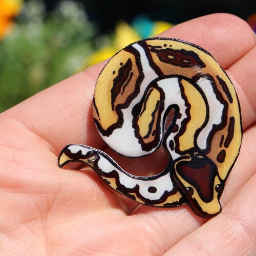 Ball Python Magnet Gift for Snake Lover or Albino Ball Python - Etsy