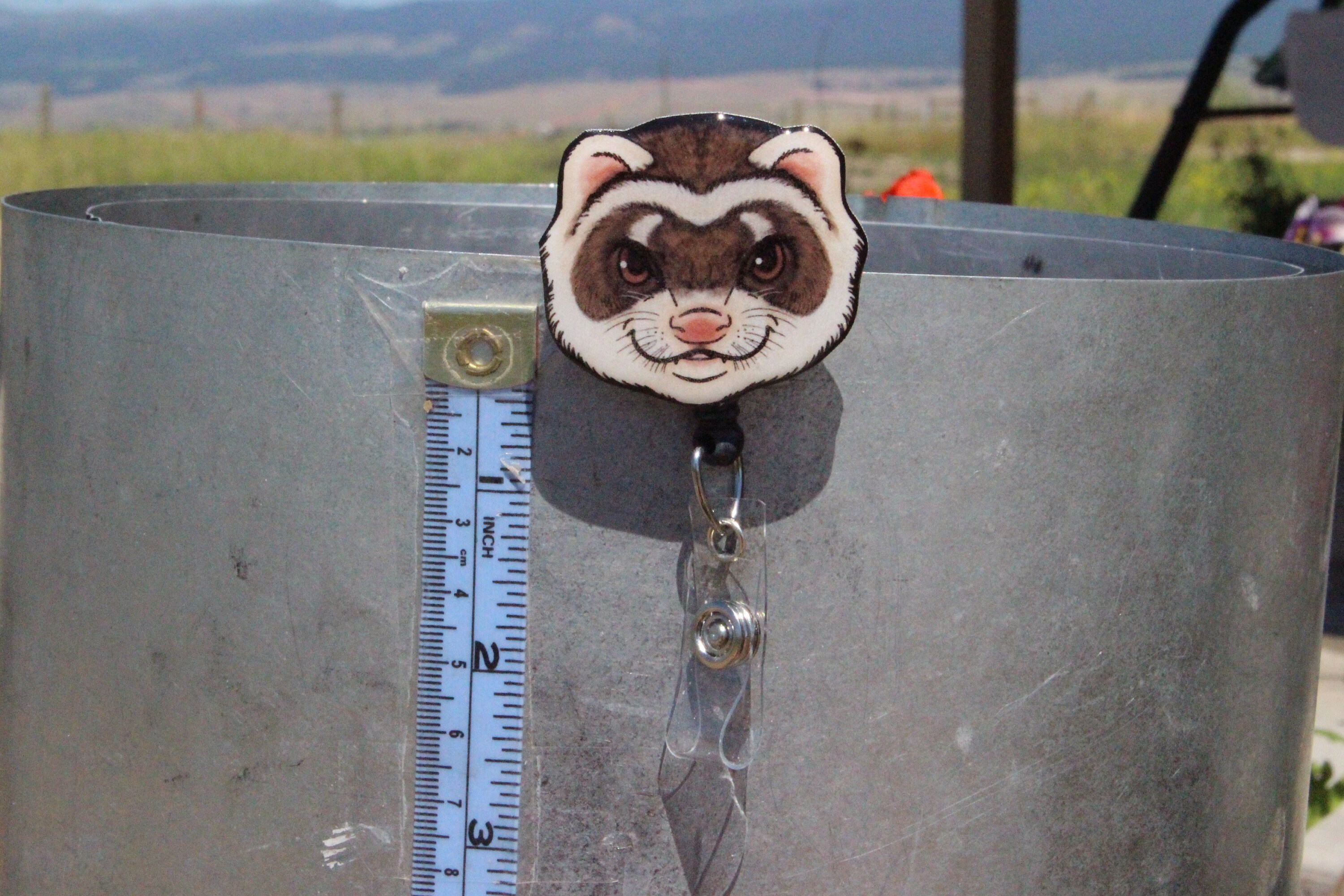 Ferret Badge Reel ID holder: Gift for Ferret lover nurse vet - Etsy