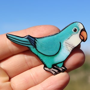 Quaker Parrot Magnet Gift for Parrot Lovers,zookeepers, Vet Techs ...