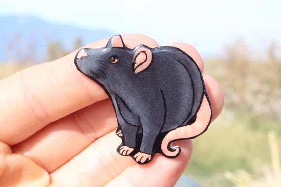 Kitchen Décor Kitchen & Dining vet techs Rat Magnet: Gift for rat lover ...