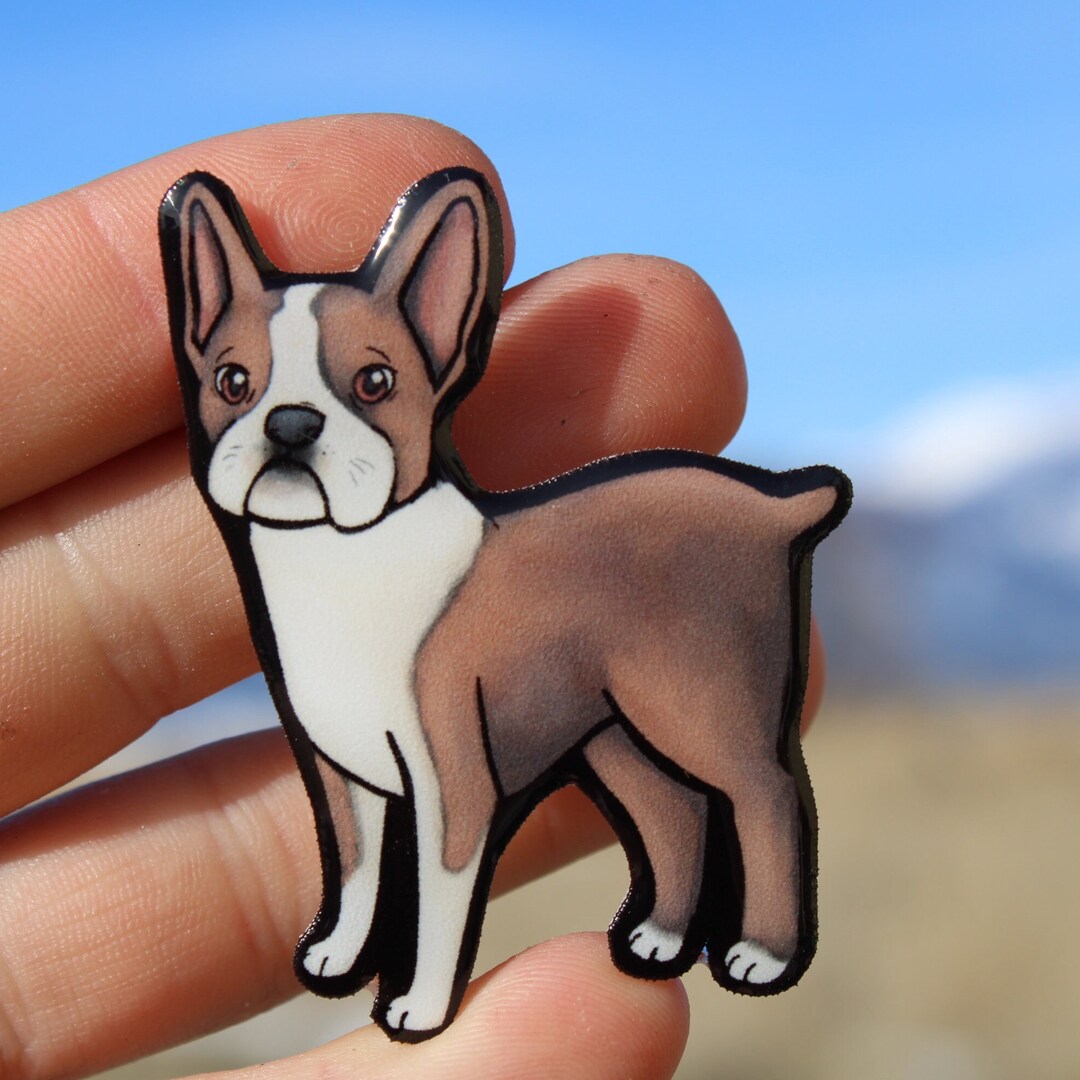 Boston Terrier Magnet: Gift for Dog Lovers, Vet Techs, Veterinarians ...