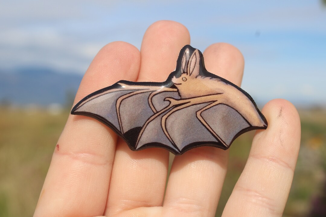 Vampire Bat Magnet: Gift for Bat Lovers, Zookeepers, Vet Techs ...