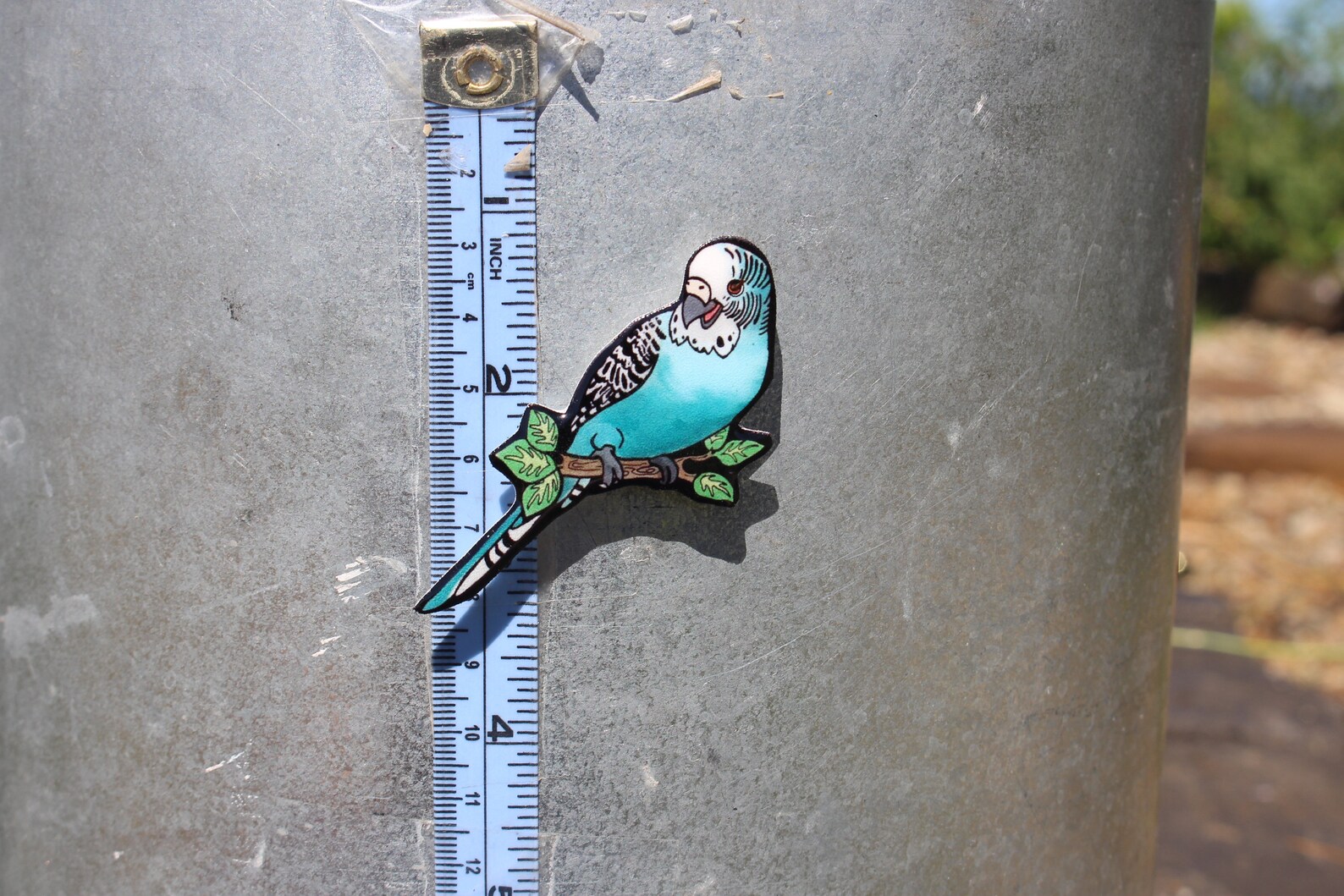 Budgie Magnet: Gift for Parakeet Bird Lovers, Vet Techs, Veterinarians ...