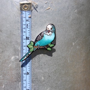 Budgie Magnet: Gift for Parakeet Bird Lovers, Vet Techs, Veterinarians ...