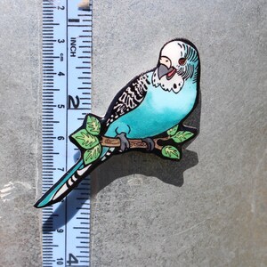Budgie Magnet: Gift for Parakeet Bird Lovers, Vet Techs, Veterinarians ...