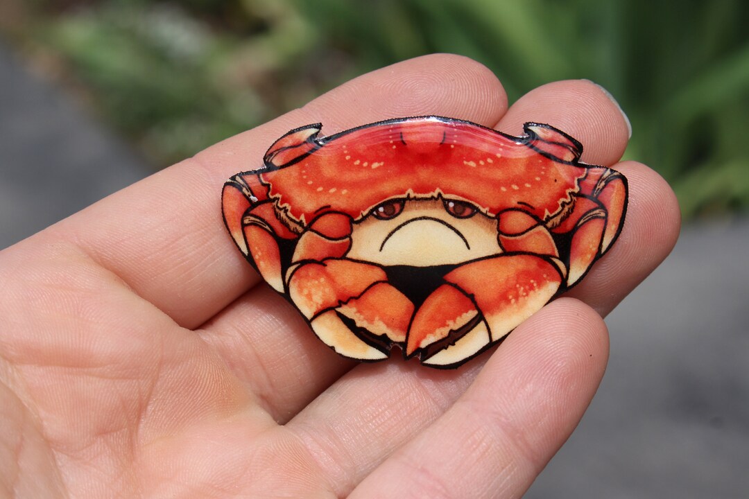 Crab Magnet: Gift for Crab Lovers, Vet Techs, Veterinarians, Cute Ocean ...