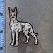 Great Dane Magnet: Gift for Dog Lovers, Vet Techs, Teachers ...