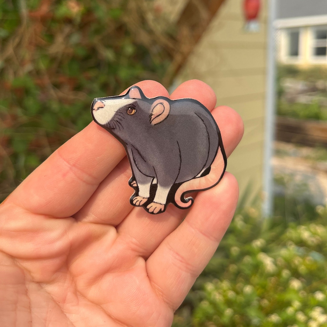 Rat Magnet: Gift for Rat Lovers, Vet Techs, Veterinarians, Loss ...