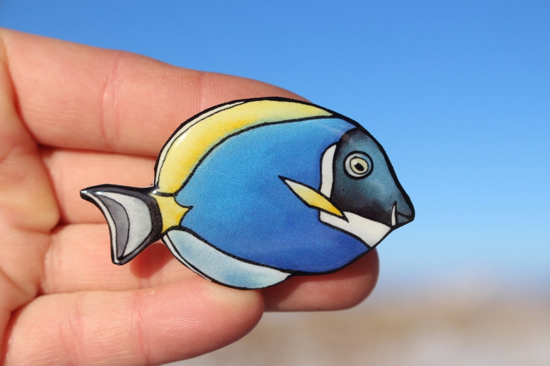 Powder Blue Tang Magnet: Gift for Reef Fish Lvoers, Scuba Divers ...