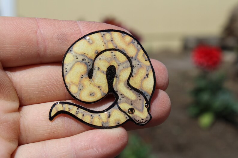 Banana Ball Python Magnet : Gift for Snake Lover Vet Tech - Etsy
