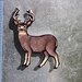 Mule Deer Magnet: Gift for Deer Lover or Hunter Woodland - Etsy