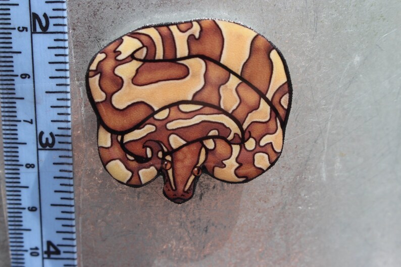 Ball Python Magnet Gift for Snake Lover for Locker or Fridge - Etsy