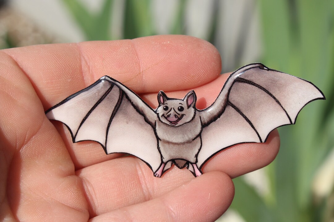 Bat Magnet: Gift for Bat Lovers, Vet Techs, Veterinarian, Zookeepers ...