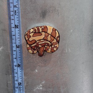 Ball Python Magnet Gift for Snake Lover for Locker or Fridge Ball ...