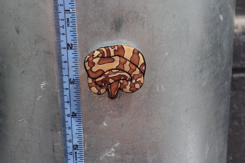 Ball Python Magnet Gift for Snake Lover for Locker or Fridge - Etsy