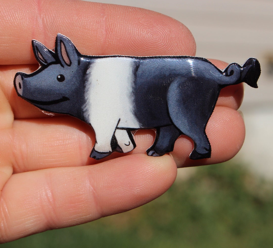 Pig Magnet Hampshire Saddleback Breed : Great Gift for Pig Lover for ...