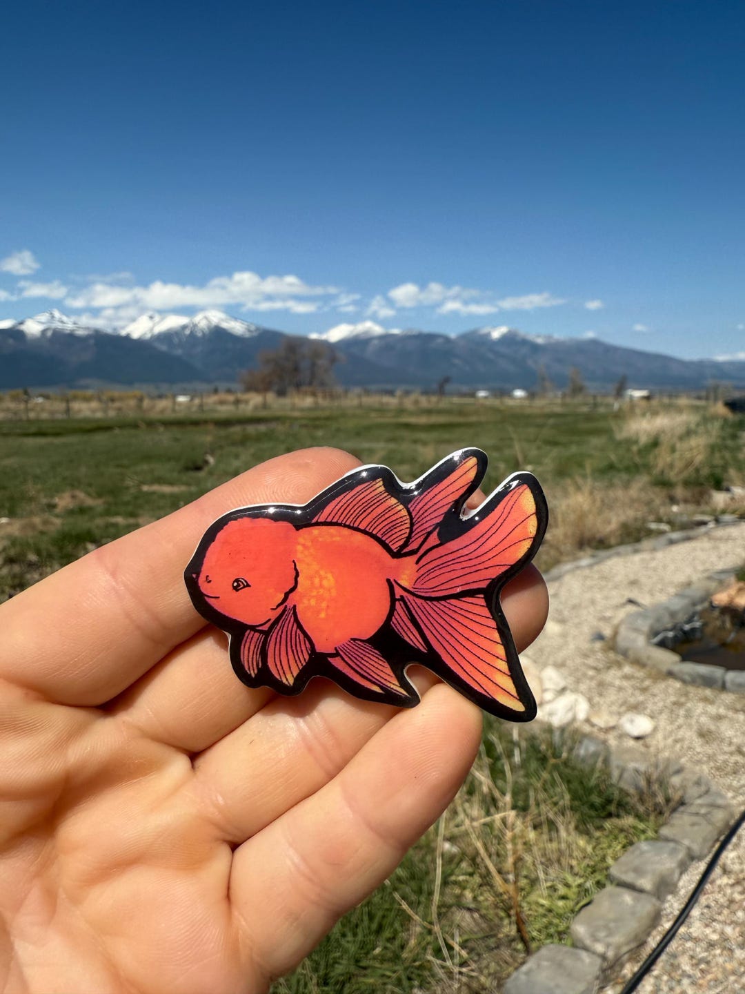 Fancy Goldfish Magnet: Gift for Fish Lovers, Vet Tech, Zookeeper ...