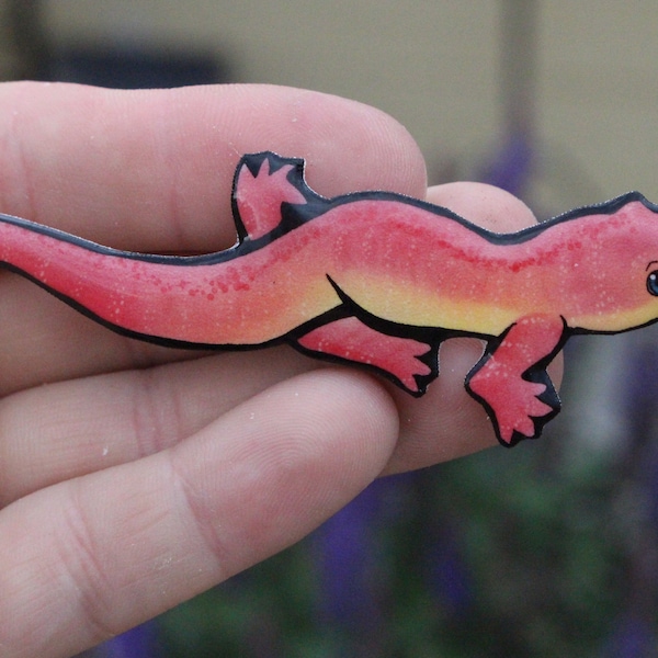 Pink Salamanders - Etsy