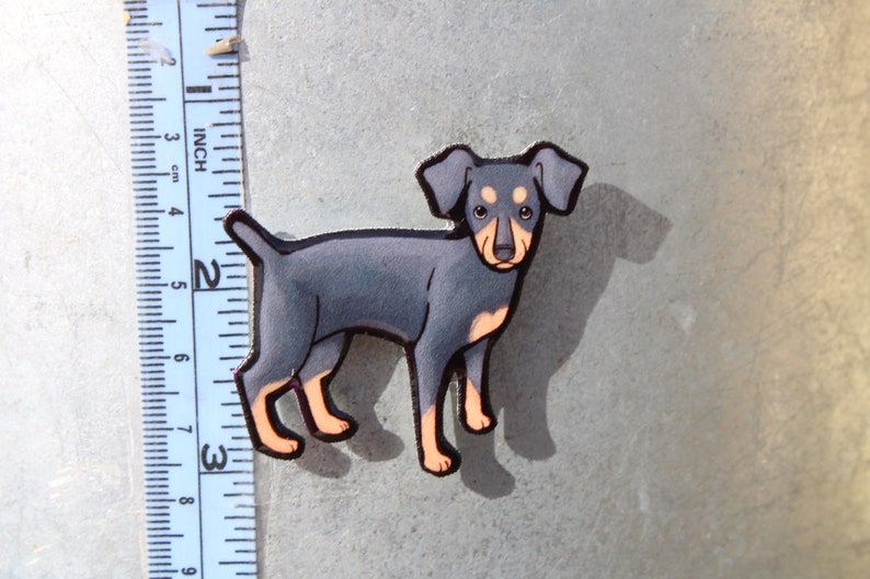 Miniature Pinscher Magnet Gift for Min Pin Dog Lovers Vet - Etsy
