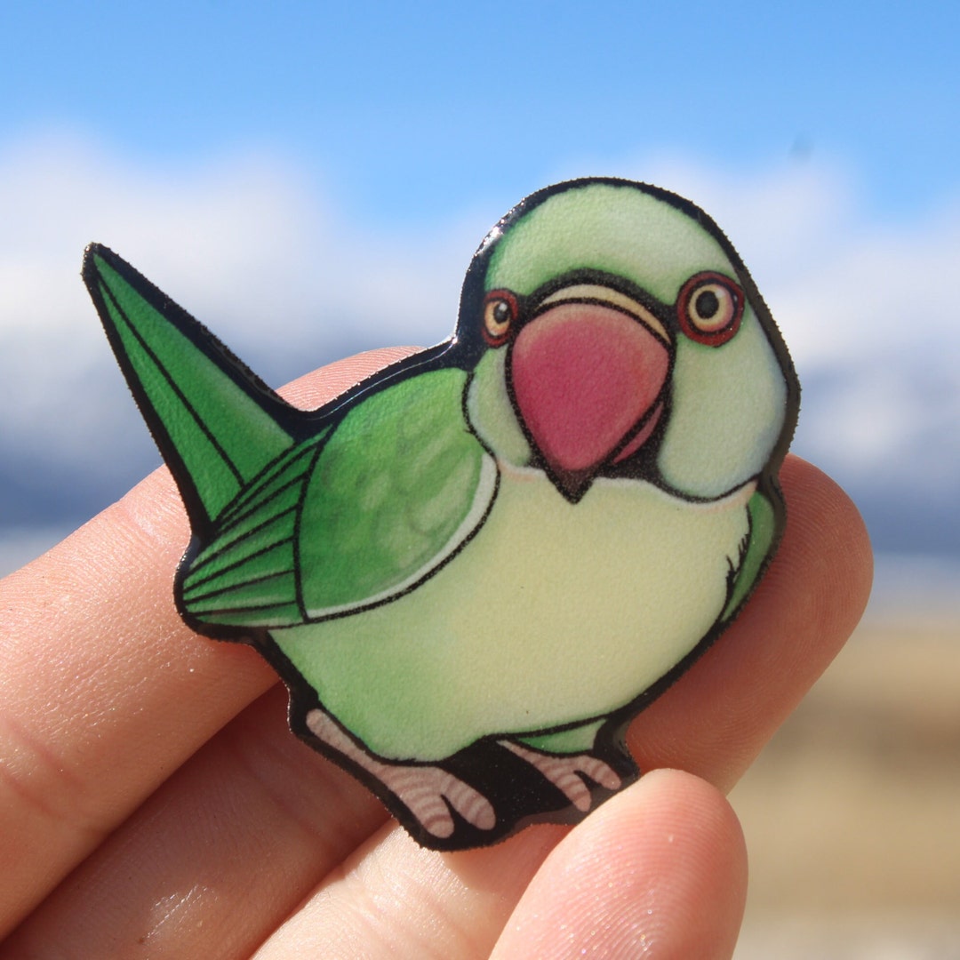 Indian Ringneck Parakeet Magner: Gift for Bird Lovers, Vet Techs ...