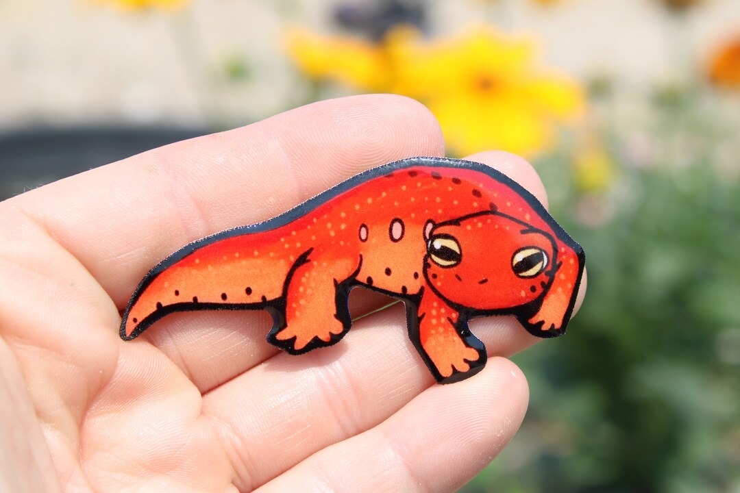 Newt Magnet :gift for Salamander Lovers Vet Techs - Etsy Singapore