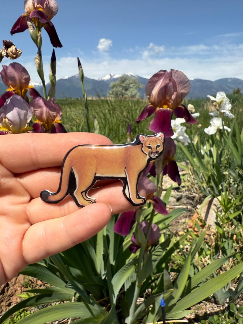 Cougar Mountain Lion Puma Magnet: Gift for Animal Lover, Vet Tech ...