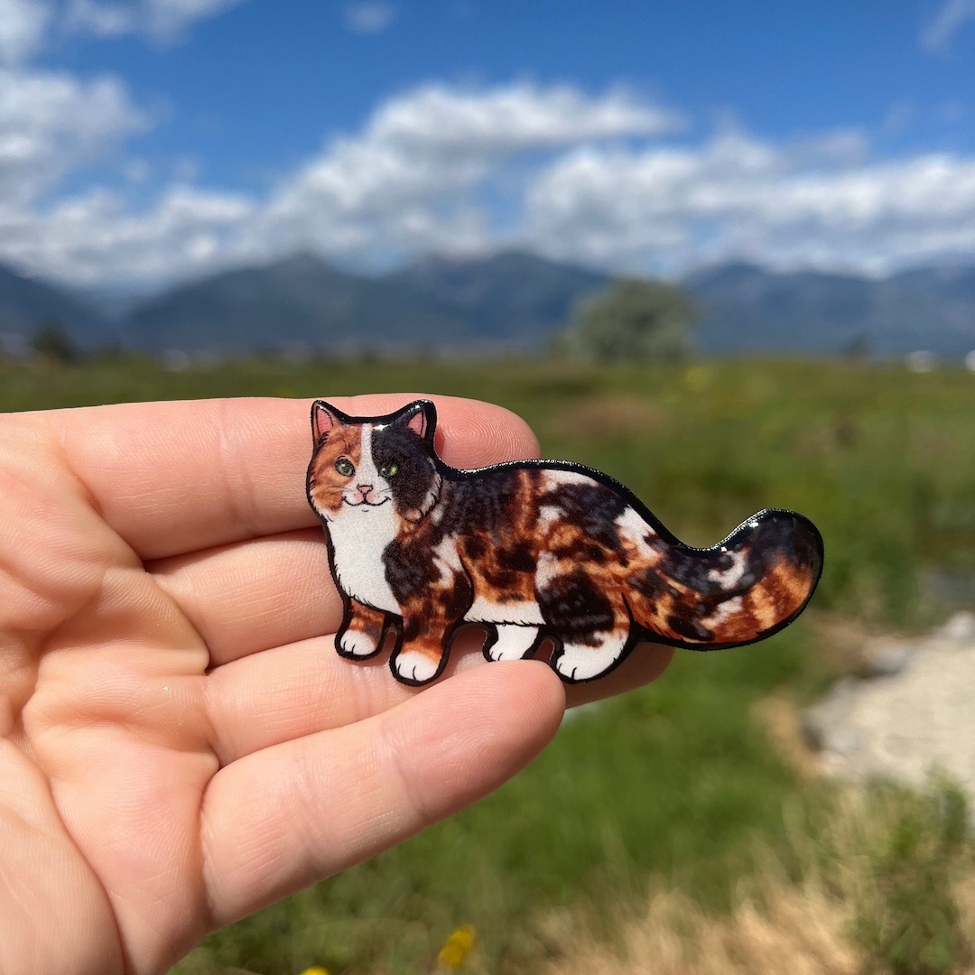 Fridge Calico Cat Magnet: Gift for Fluffy Cat Lovers, Vet Techs ...