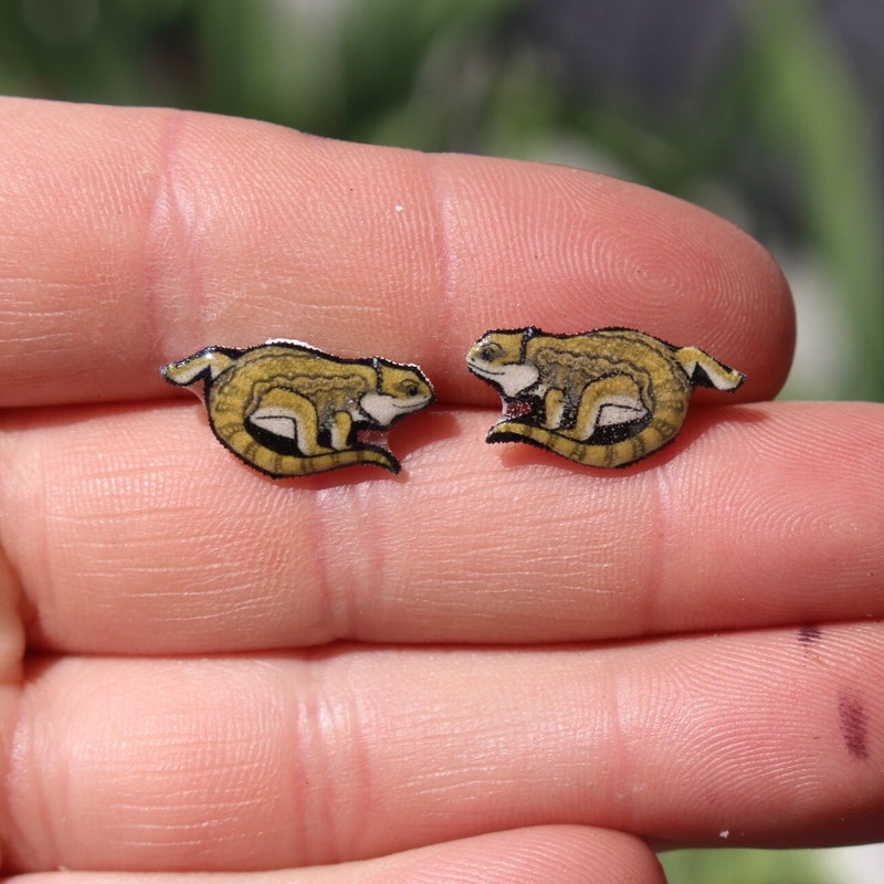 Bearded Dragon Jewelry - Etsy