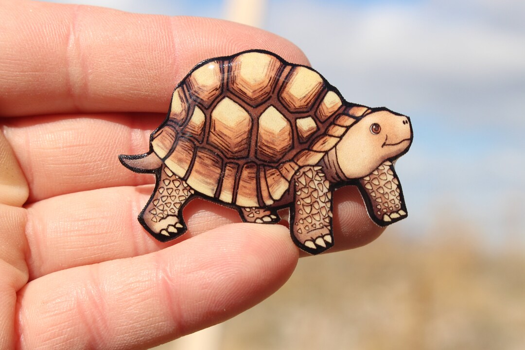 Sulcata Tortoise Magnet: Gift for Turtle Reptile Lovers, Vet Techs ...