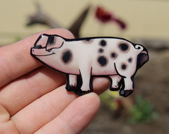 Pig Magnet Gloucestershire Old Spots Breed : Gift for Vet - Etsy