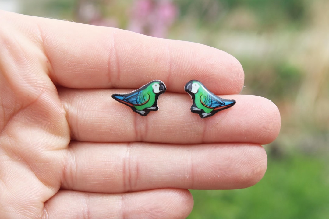 Severe Parrot Macaw Earring Studs: Gift for Bird Lovers, Vet Techs ...