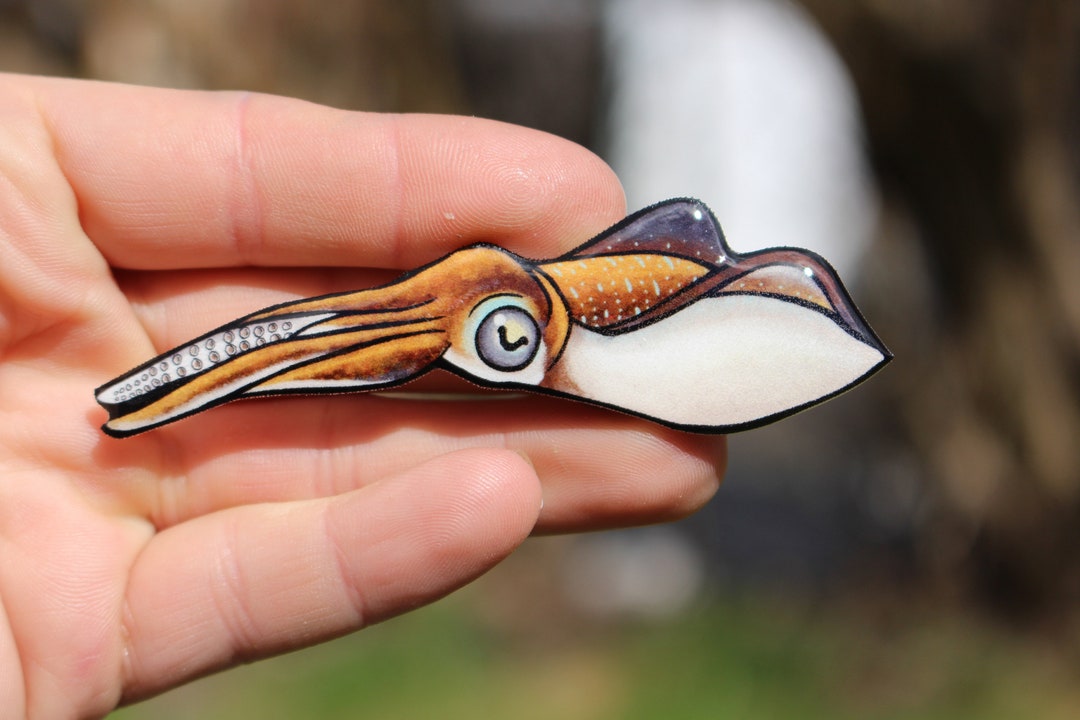 Squid Magnet: Gift for Squid Lovers or Scuba Divers Cute Ocean Animal ...