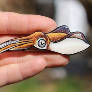 Squid Magnet: Gift for Squid Lovers or Scuba Divers Cute Ocean Animal ...