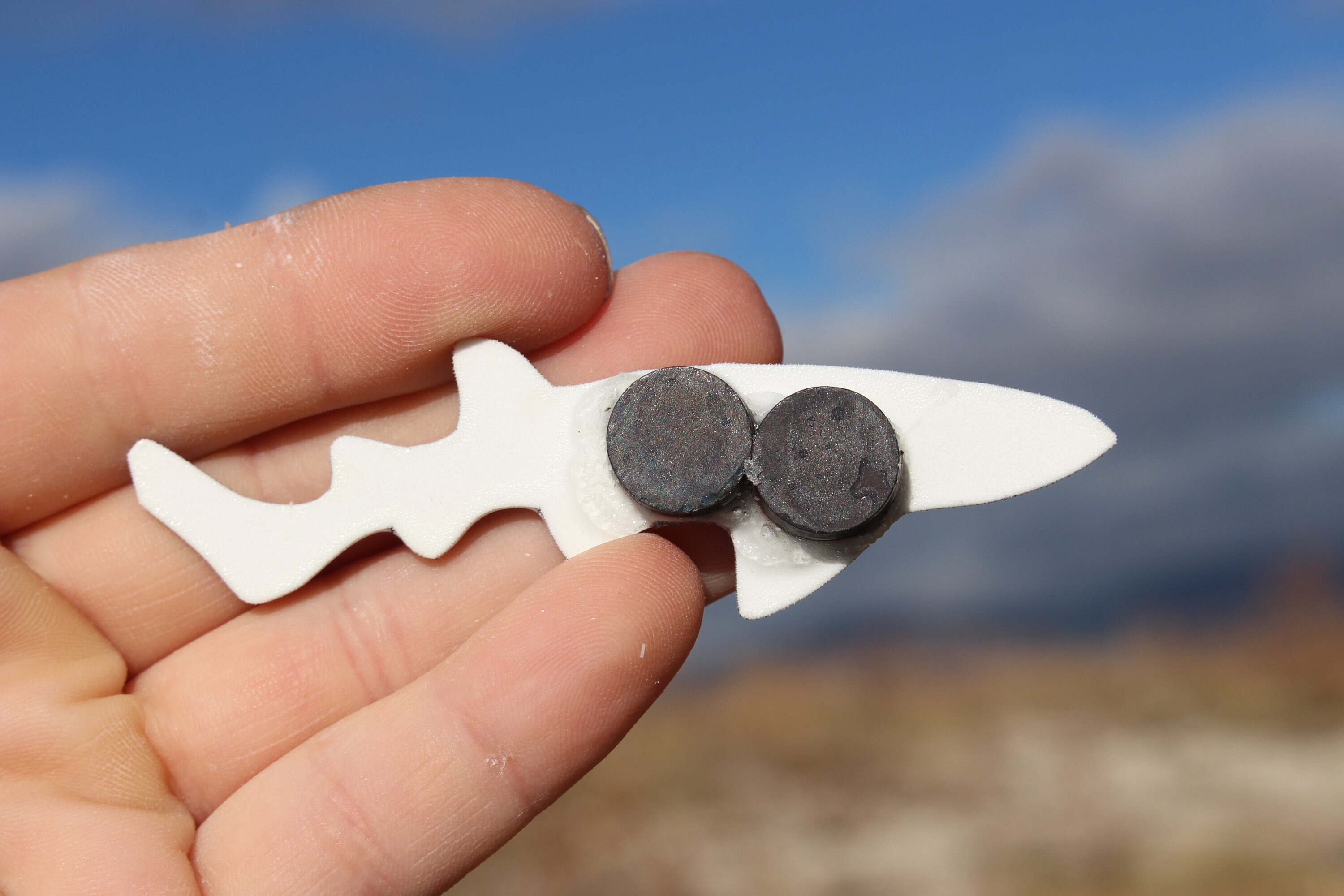 Shark magnet: Gift for shark lovers fishers scuba divers - Etsy