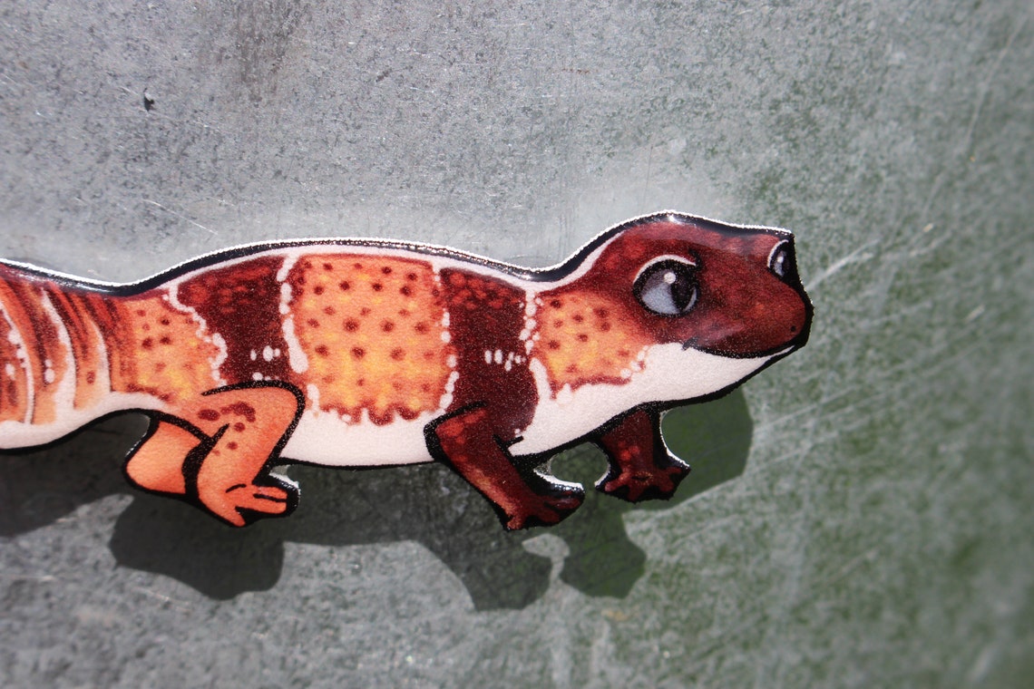 African Fat Tailed Gecko Magnet: Gift for Gecko Lizard Lovers or Gecko ...
