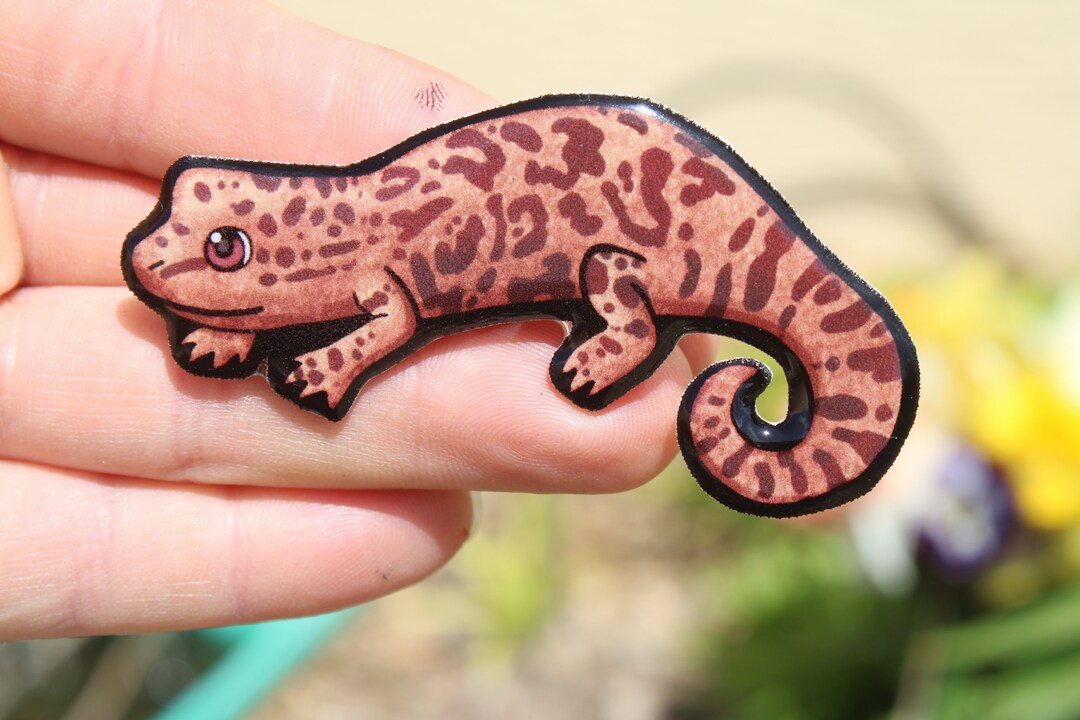 Salamander Magnet: Gift for Pacific Salamander Lovers Vet - Etsy UK
