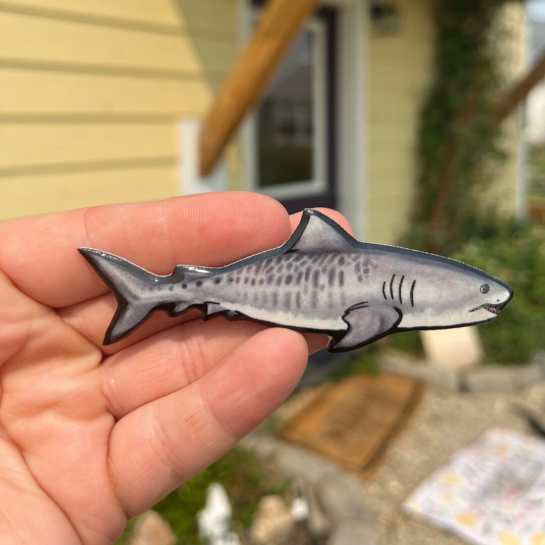 Tiger Shark Magnet: Shark Lover Gift for Vet Techs, Veterinarians ...