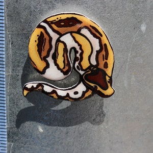 Piebald Ball Python Magnet: Gift for Snake Lover, Vet Tech ...
