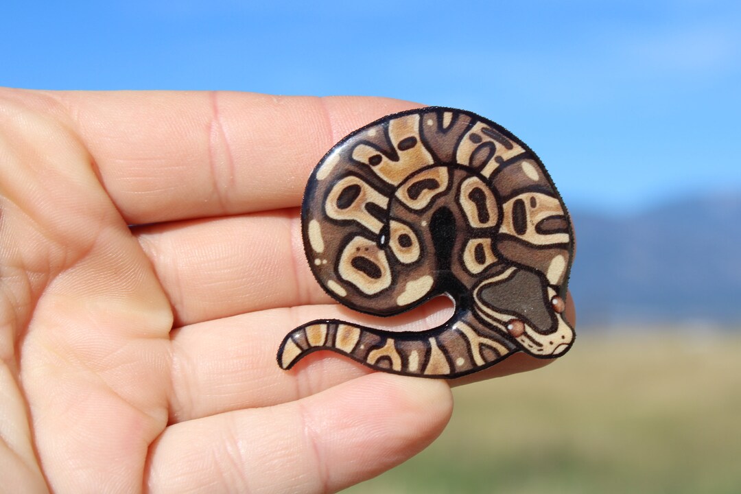 Ball Python Magnet Gift for Snake Lover, Vet Tech, Veterinarian ...