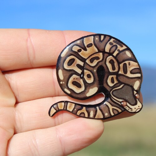 Piebald Ball Python Magnet Gift for Snake Lover or Snake Loss - Etsy