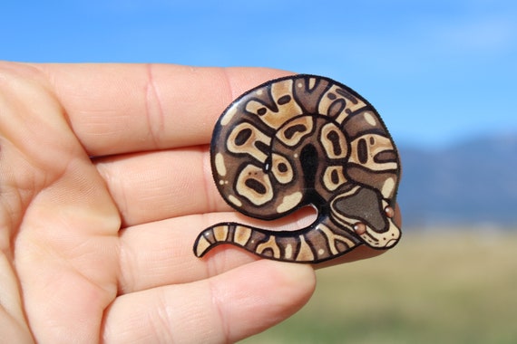 Ball Python Magnet Gift for Snake Lover Vet Tech | Etsy