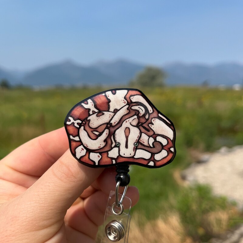 Boa Constrictor - Etsy