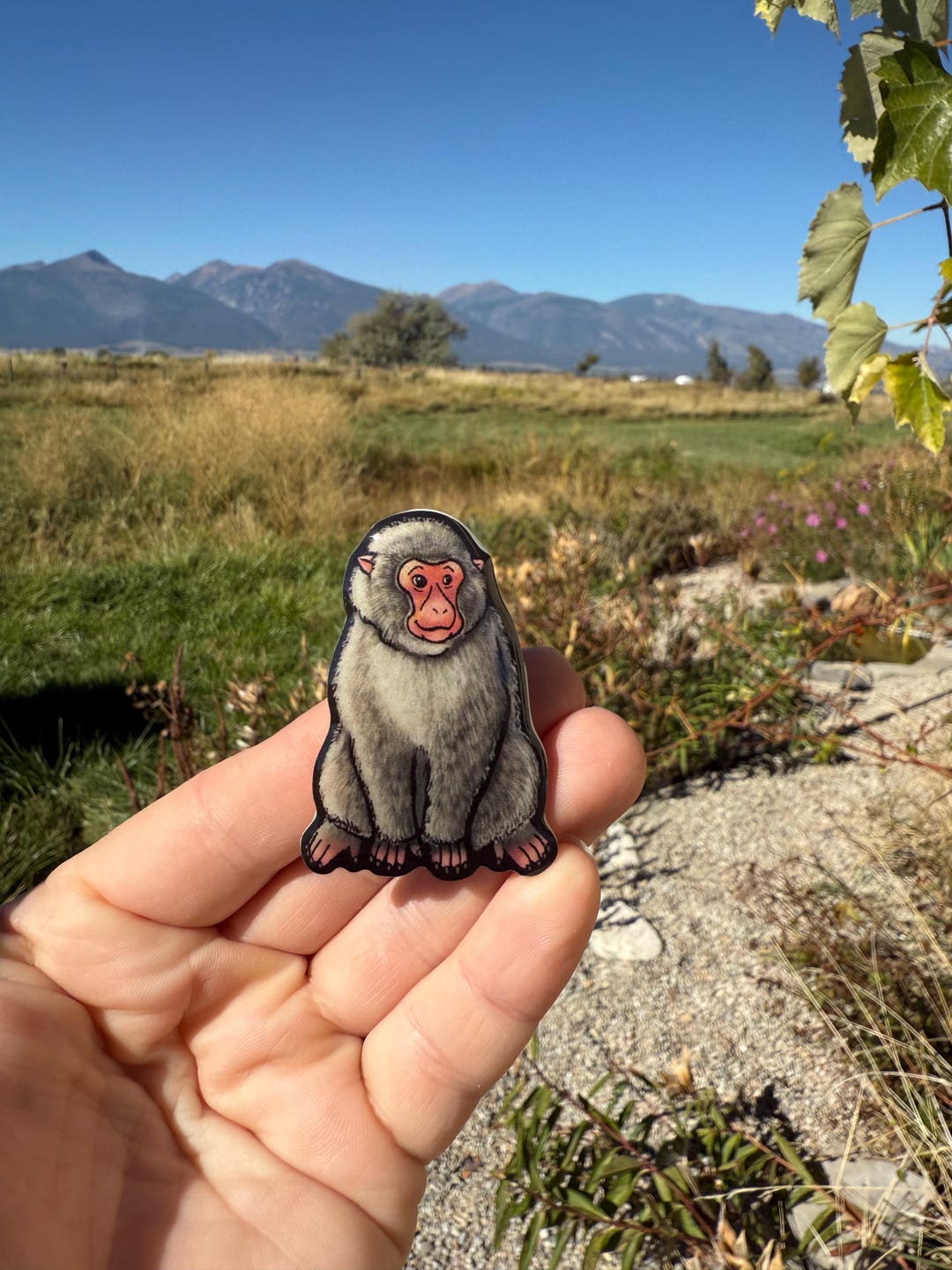 Japanese Macaque Monkey Magnet: Gift for Animal Lover, Vet Tech ...