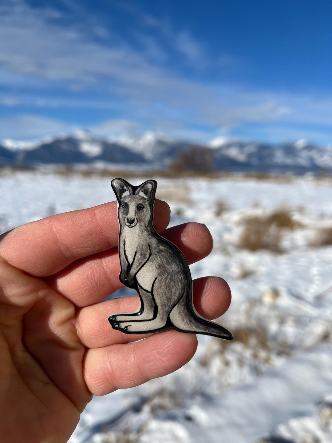 Kangaroo Magnet: Gift for Animal Lovers, Vet Tech, Zookeeper, Teacher ...