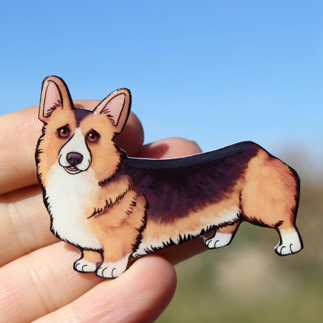 Corgi Magnet: Gift for Corgi Lovers, Vet Techs, Veterinarians, Dog ...