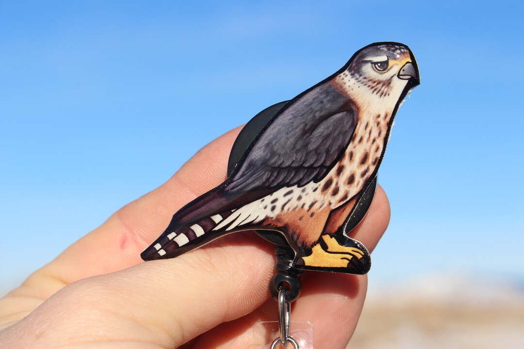 Merlin Pigeon Hawk Badge Reel: ID Holder Gift for Bird of Prey Lovers ...