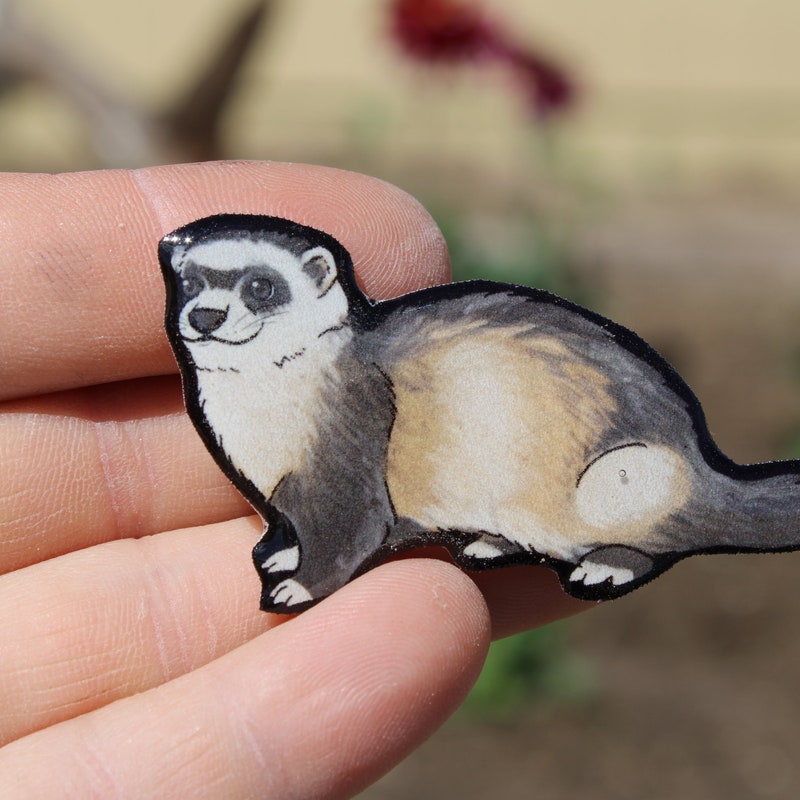 Ferret Memorial - Etsy