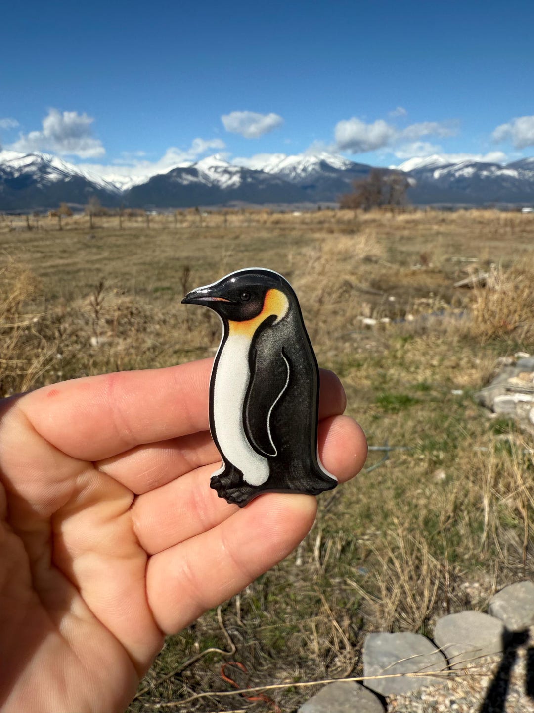 Acrylic Emperor Penguin Magnet: Gift for Bird Lovers, Vet Techs ...