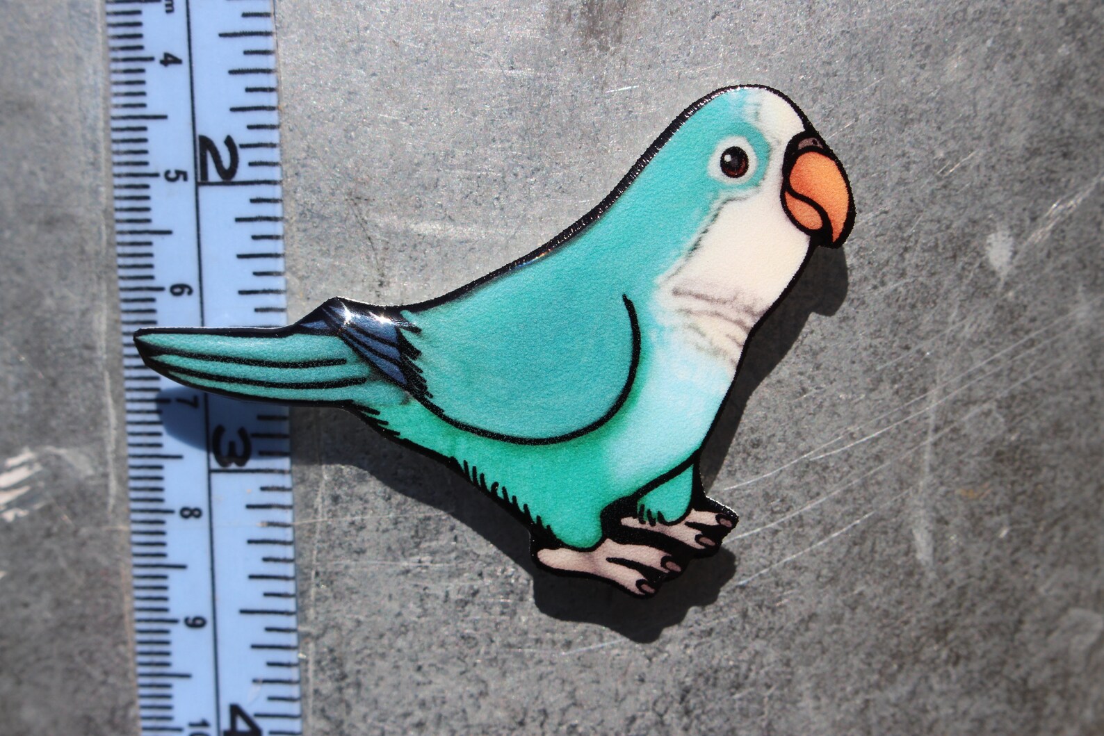 Quaker Parrot Magnet Gift for Parrot Loverszookeepers Vet | Etsy
